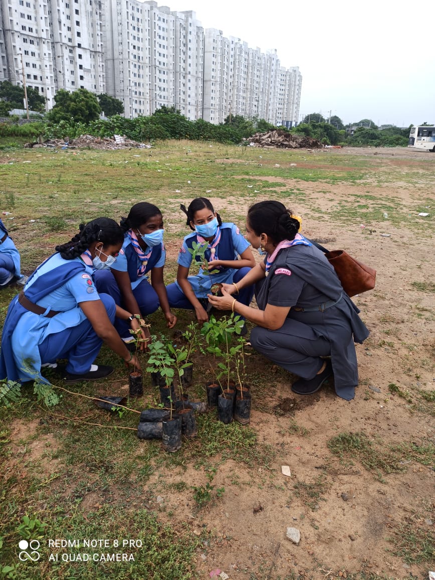 Scouts and Guides: Saplings planting Activity - Kavi Bharathi Vidyalaya